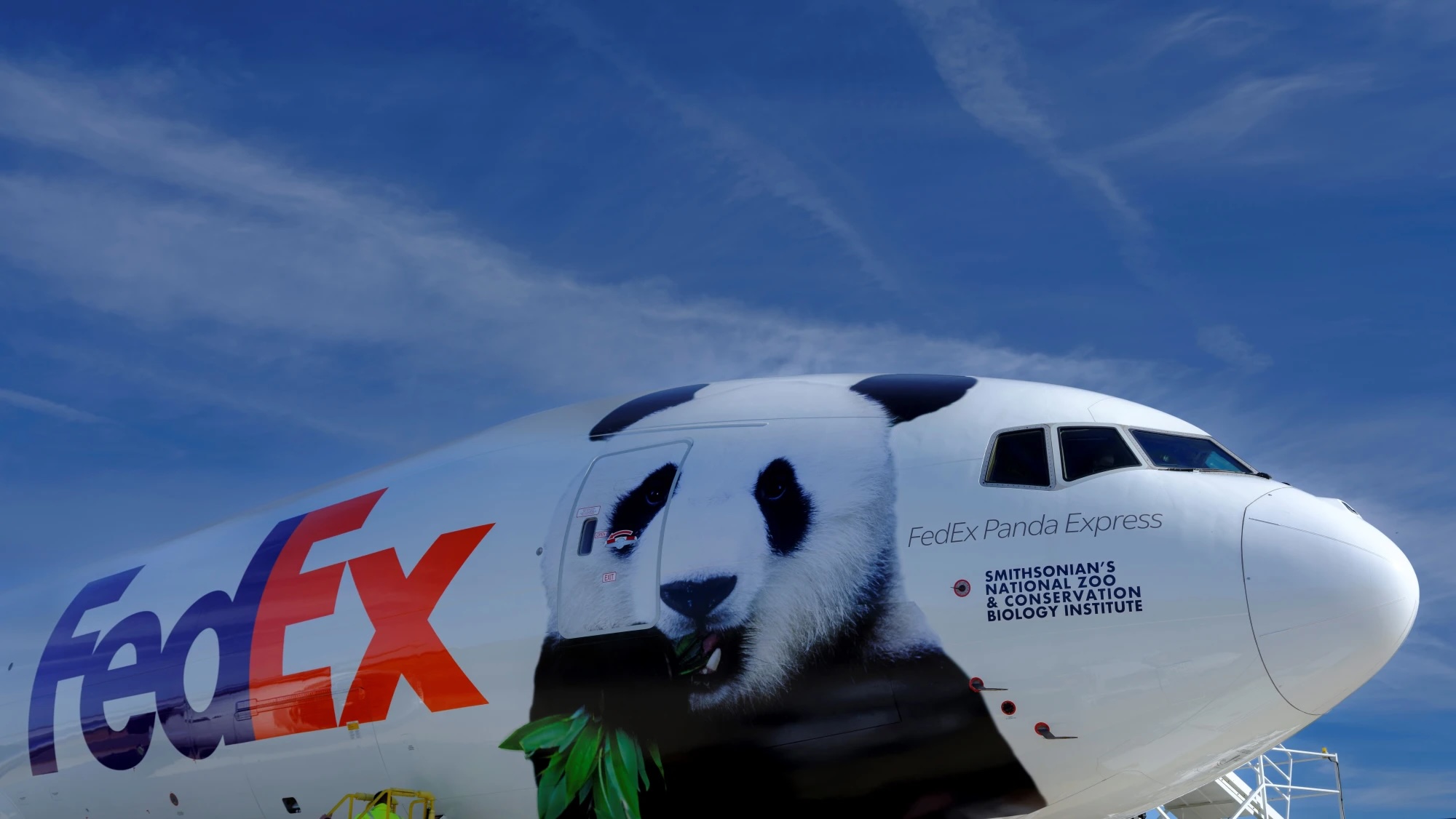 The Giant Pandas Were Flown from DC to China with Fedex - A Look at the ...